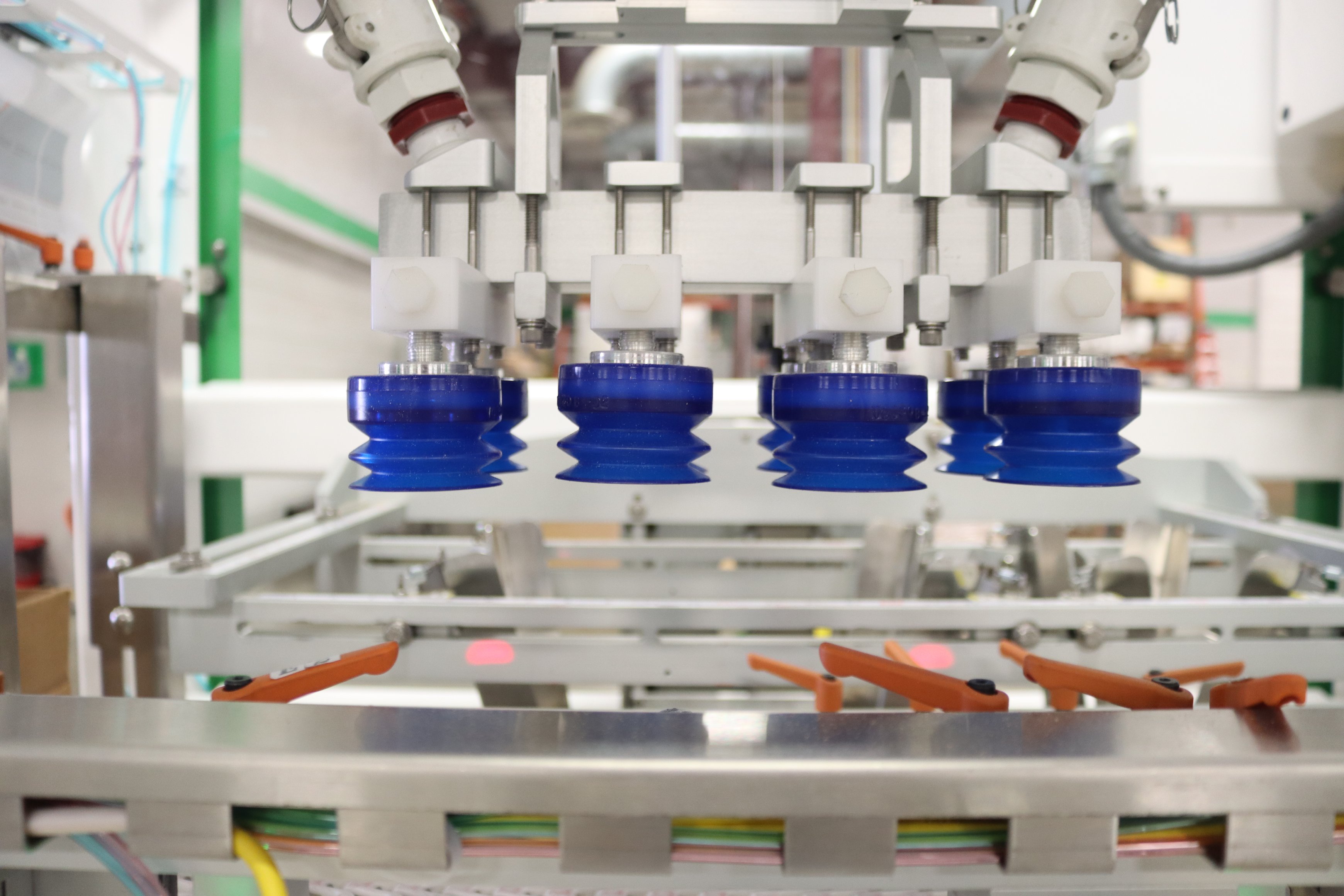 Hawk Case Tray Packer | Hawk Robotic Case Packing | JLS Automation