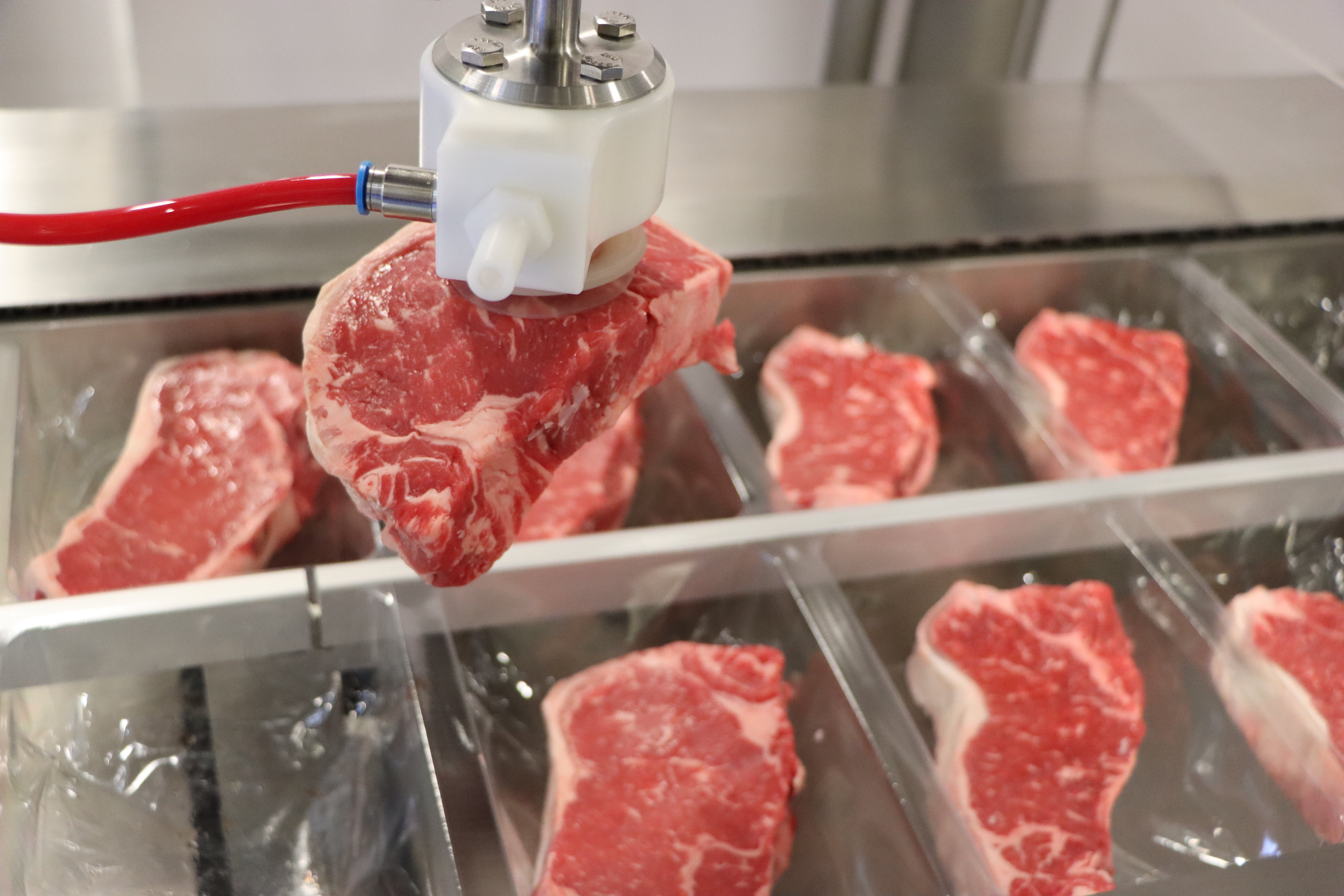 Sanitary Steak Packaging | JLS Automation