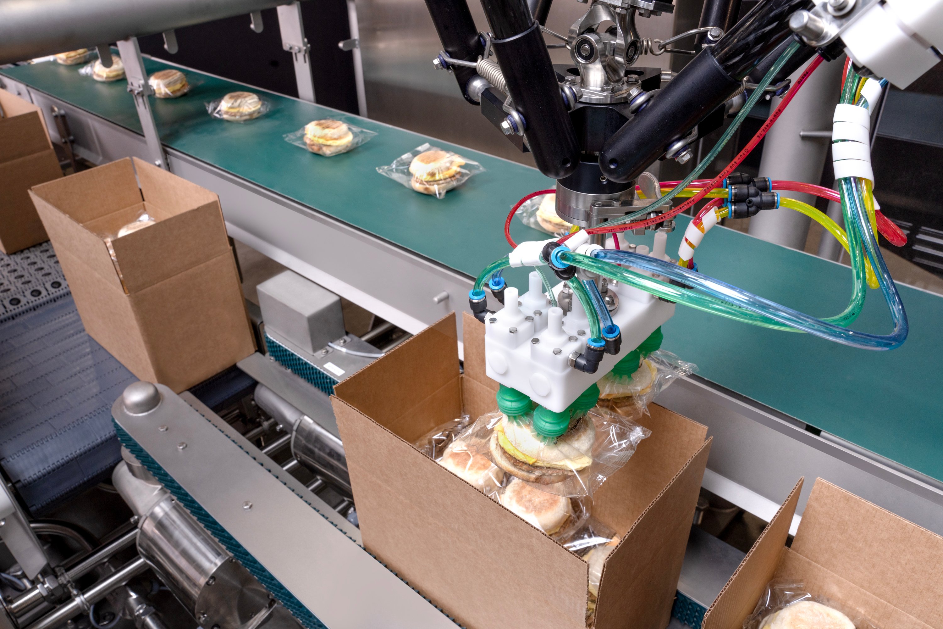 Osprey Case Packers | Osprey Robotic Case Packing Systems | JLS Automation