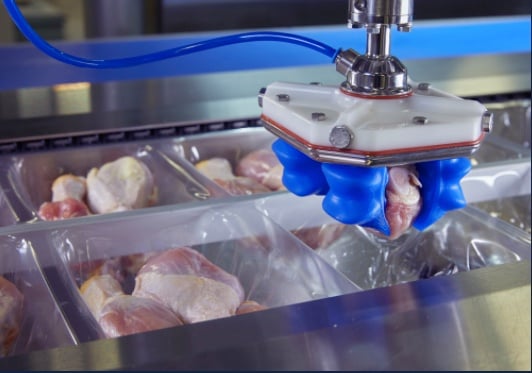Sanitary Poultry Packaging | Poultry Packaging Machines