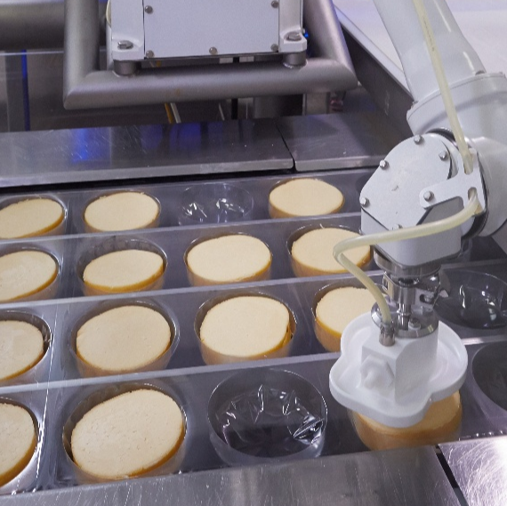 Pick-and-Place Packaging | Pick-and-Place Robot | JLS Automation