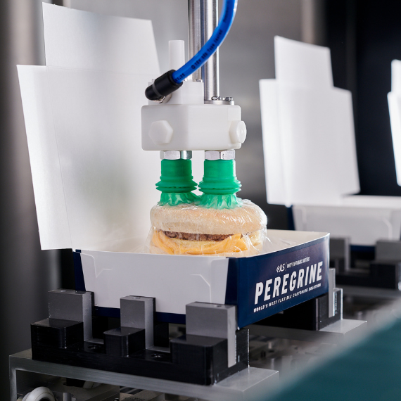 Case Packers | Robotic Case Packing Systems | JLS Automation